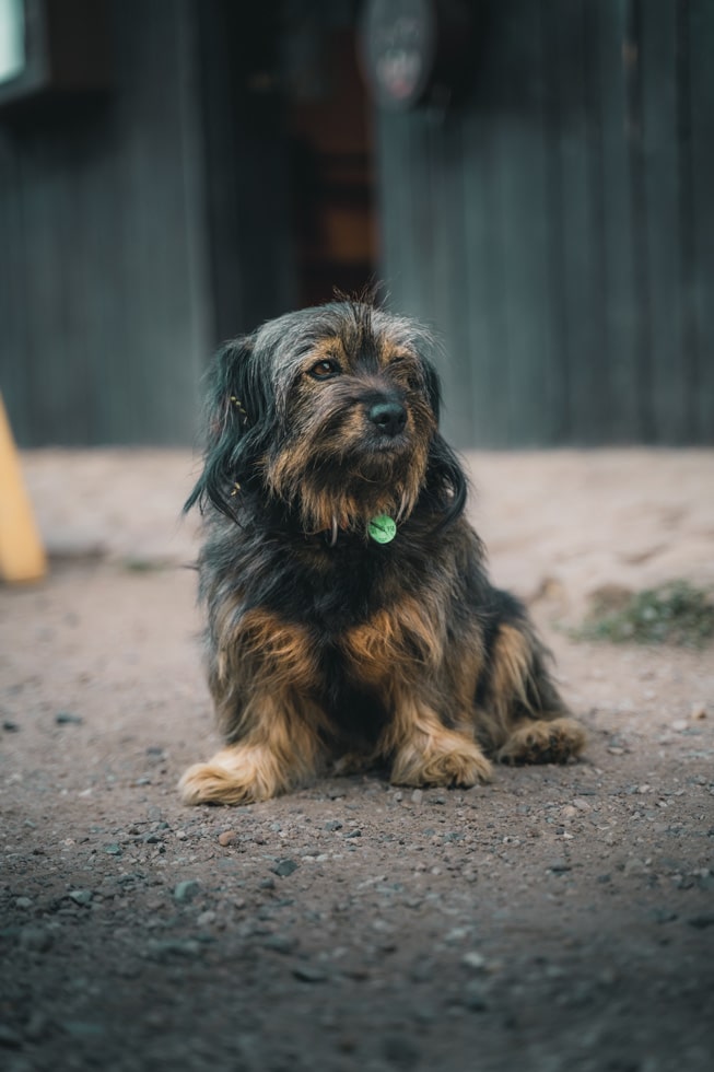 Die schönsten Burgen und Schlösser in Tschechien